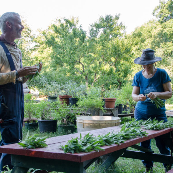 Farm Internship – Threefold Community Farm