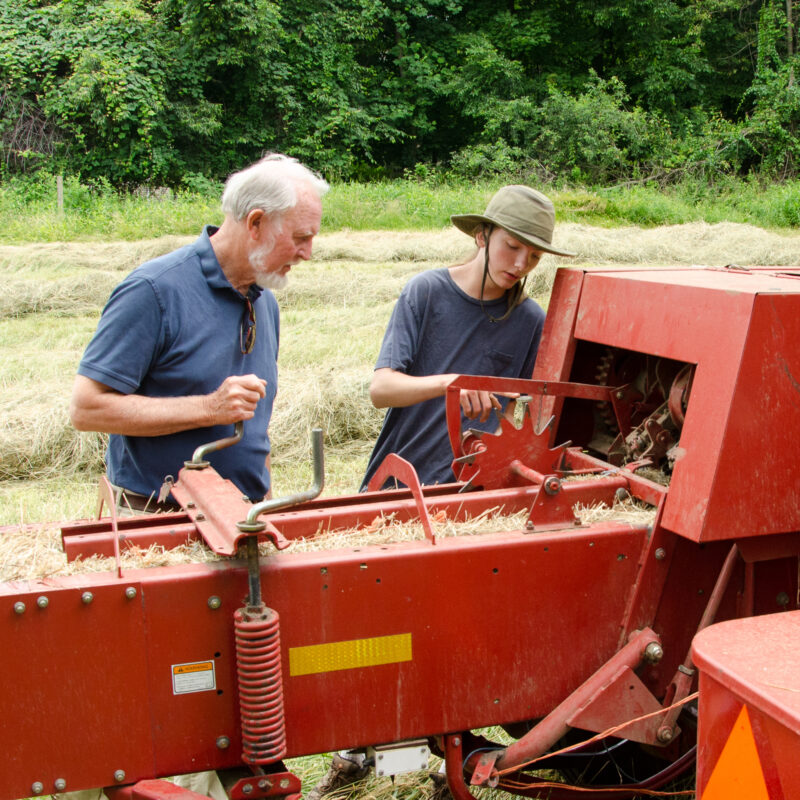 Farm Internship – Threefold Community Farm