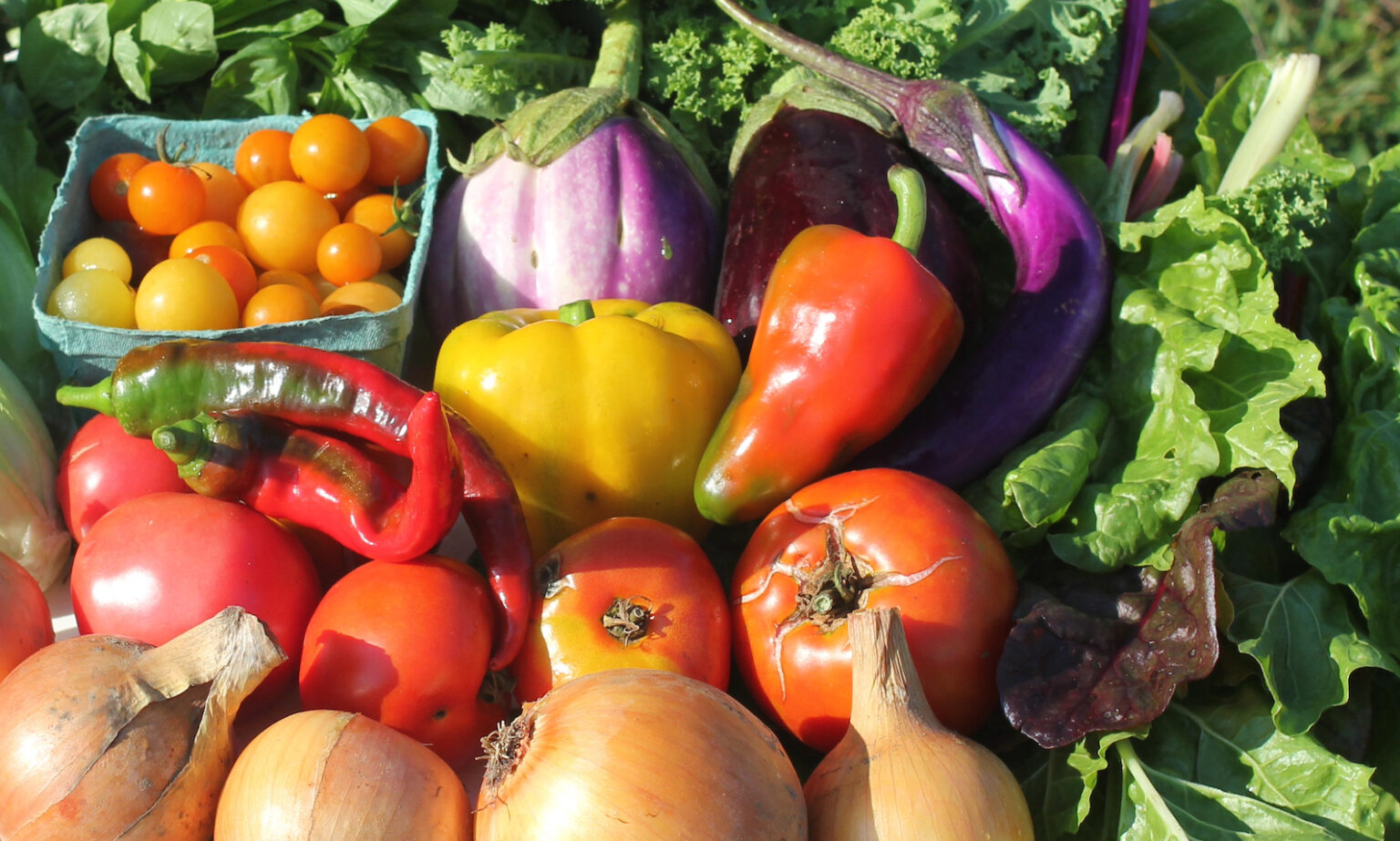 PRODUCE STAND – Threefold Community Farm